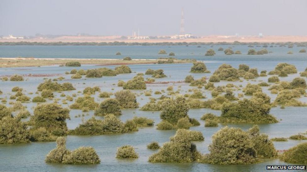 Where on Earth is Umm al Qaiwain? - BBC News