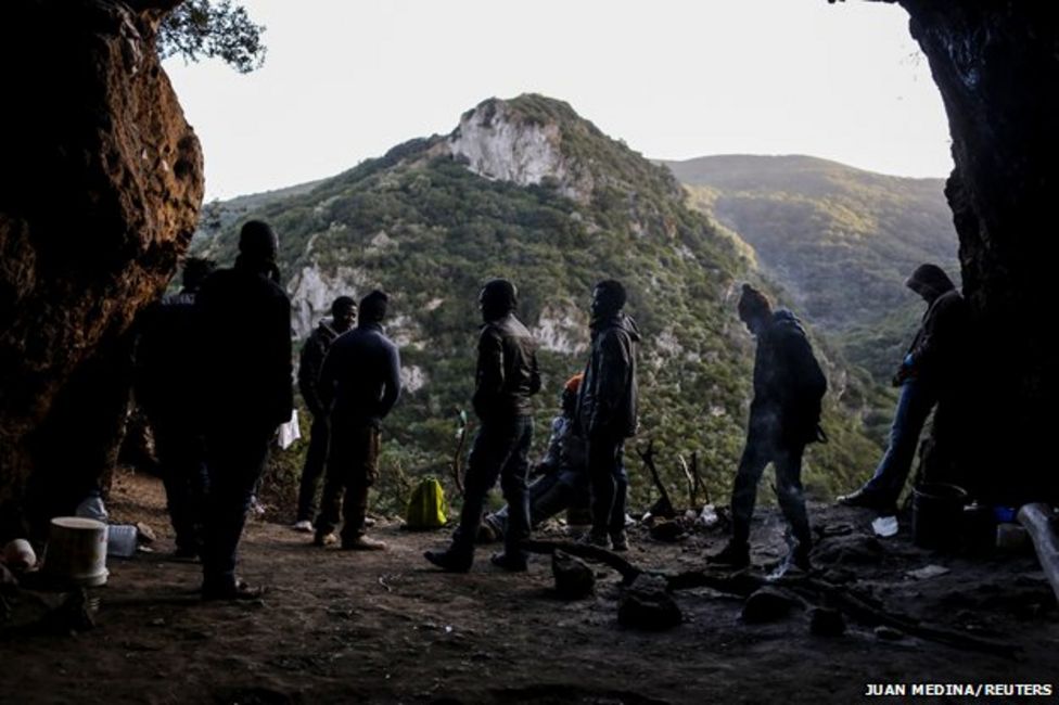 The horrors of the sea - BBC News
