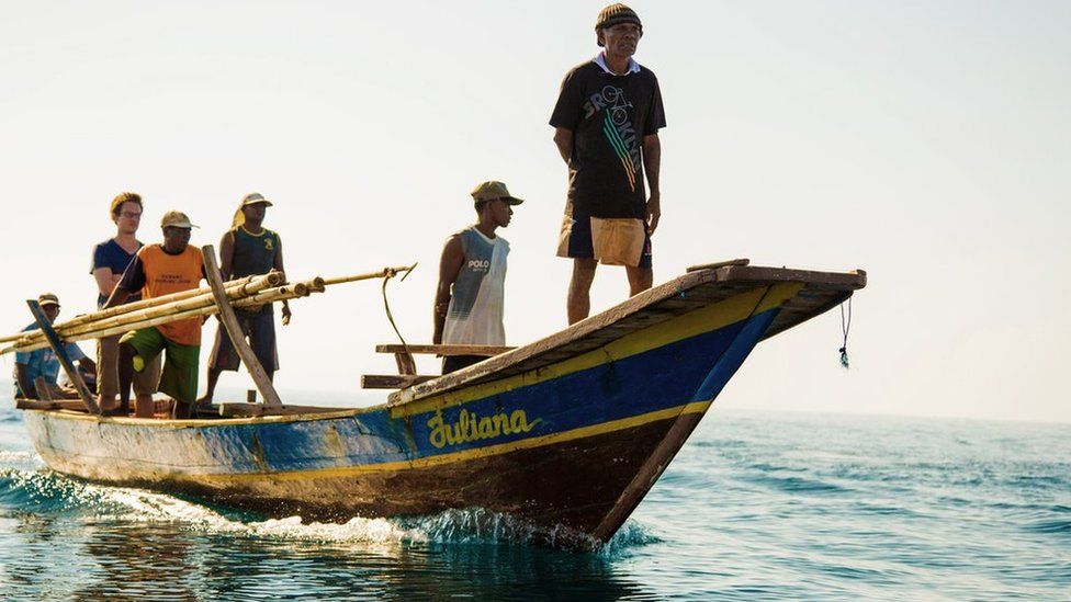 Hunting whales with rowing boats and spears - BBC News
