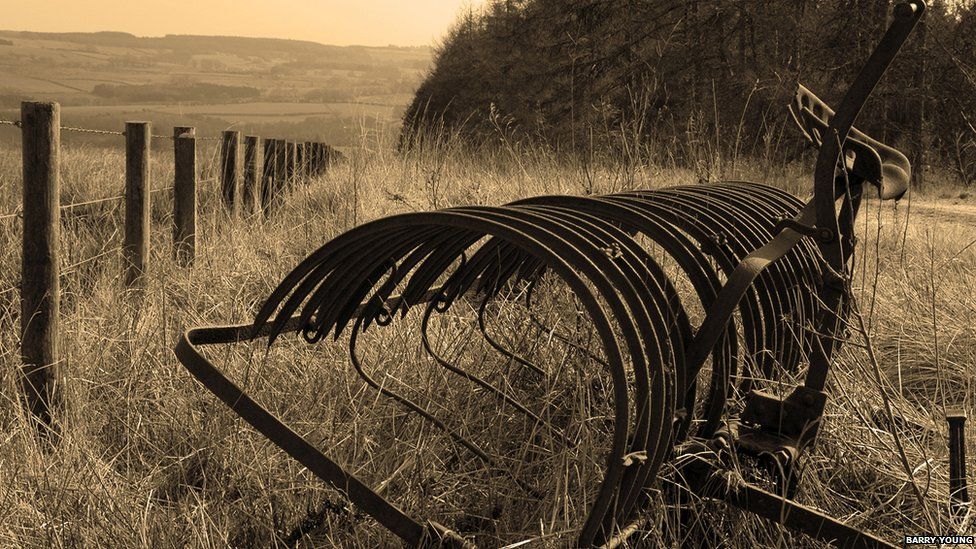 In pictures: Spring Fling photographers - BBC News