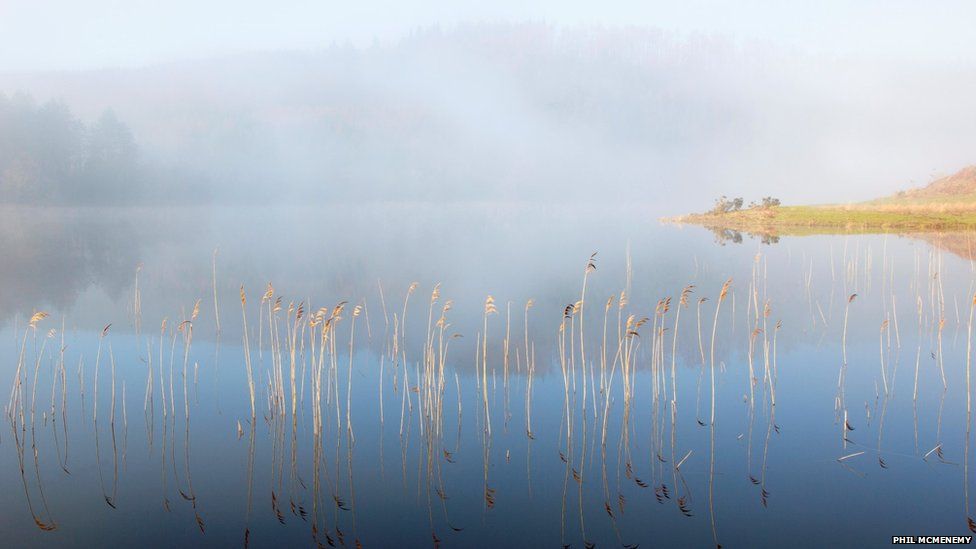 In pictures: Spring Fling photographers - BBC News
