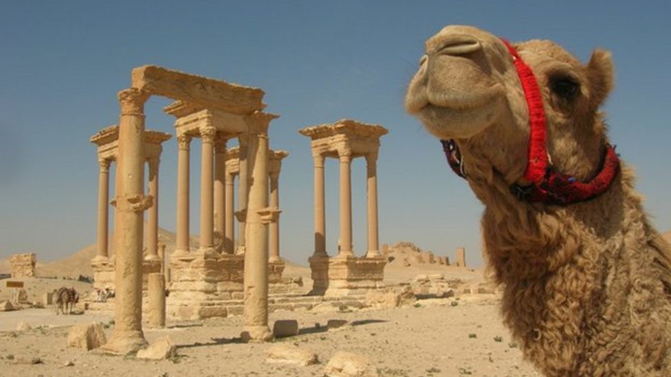 Islamic State photos 'show Palmyra temple destruction' - BBC News