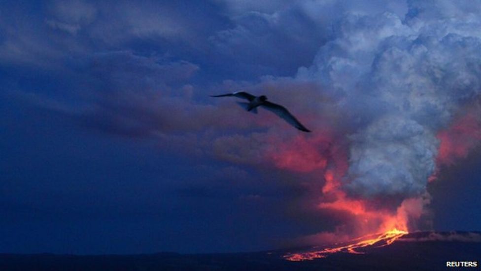 Wolf volcano erupts on Galapagos island - BBC News