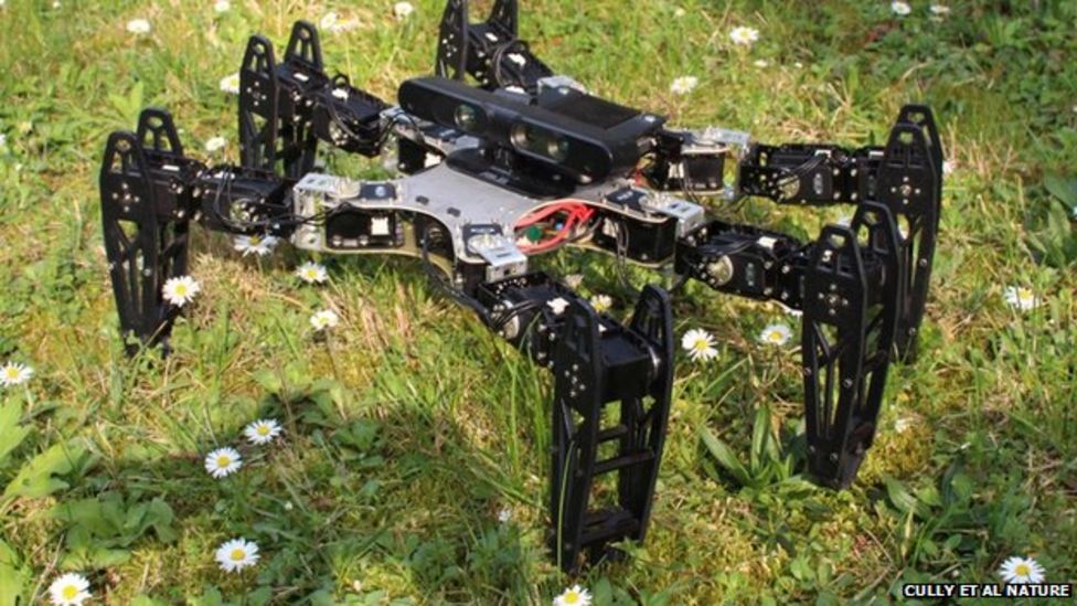 Adaptable robots 'on their way' to the home - BBC News