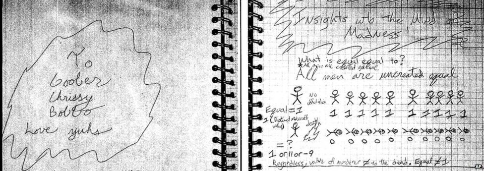 US gunman James Holmes 'legally sane' at time of shooting - BBC News