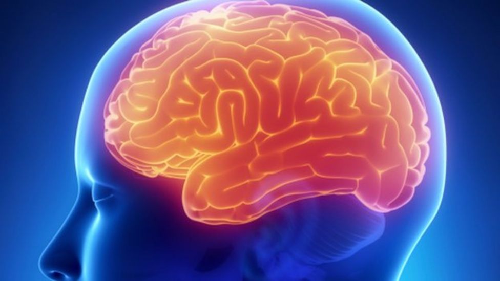 Frontal brain wrinkle linked to hallucinations - BBC News