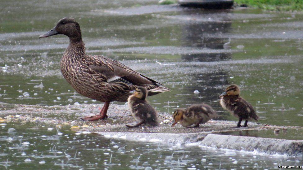 Your recent UK weather photos - BBC Weather