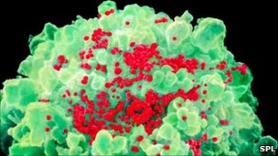Molecule structure offers clue to HIV and cancer treatments - BBC News