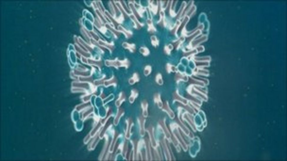 Global flu warning after UK hit - BBC News