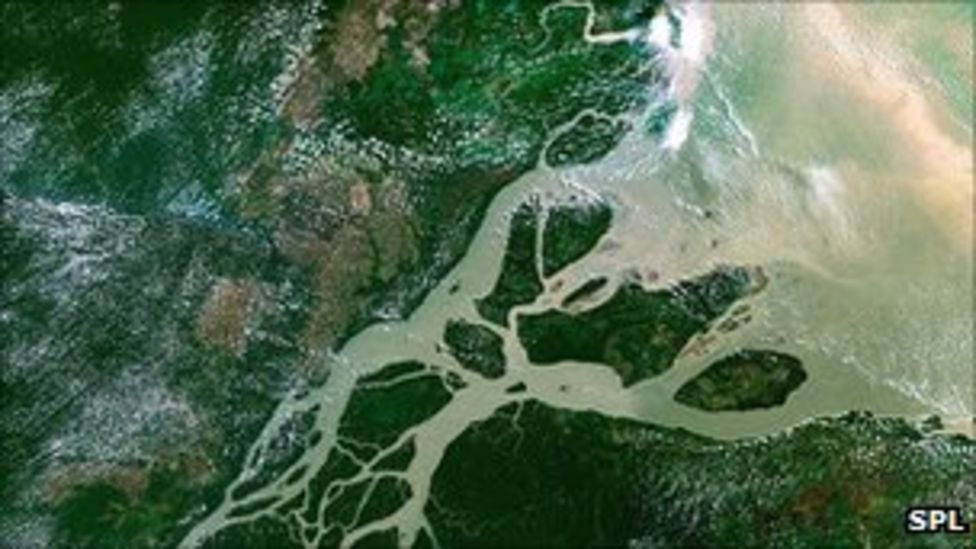 Subterranean Amazon river 'is not a river' - BBC News