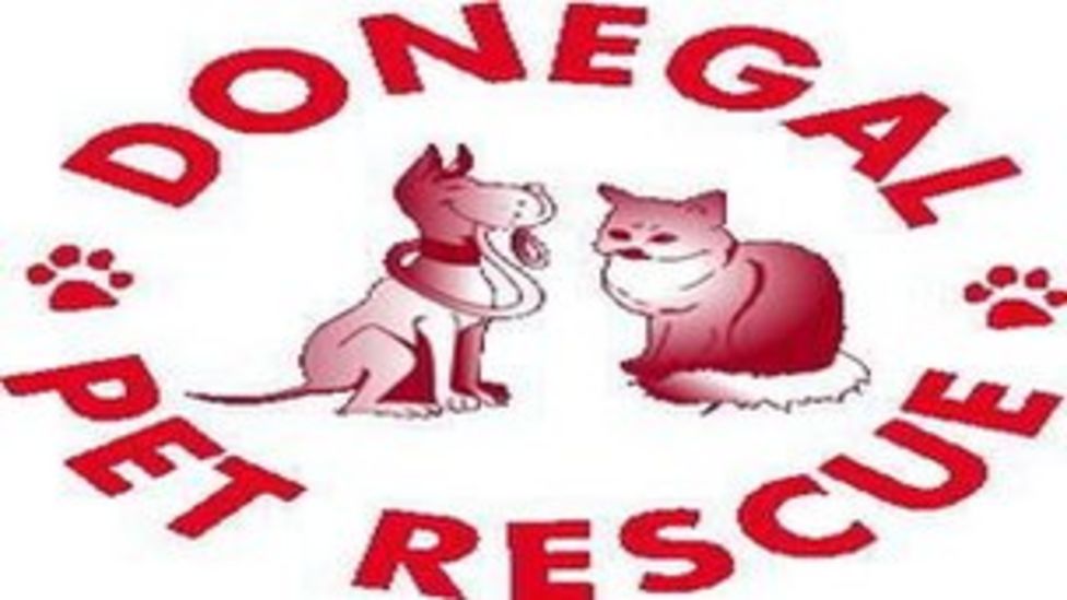 Donegal Pet Rescue: Shelter closes over re-homing backlog - BBC News