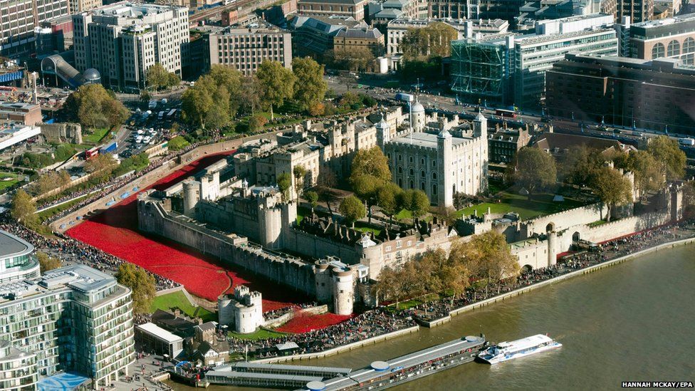 In pictures: The poppies at the Tower of London - BBC News
