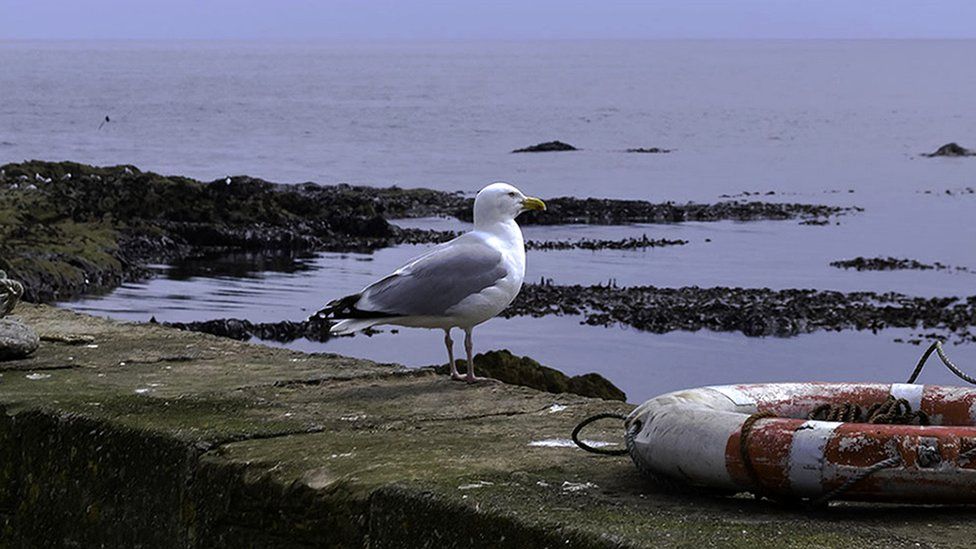 Your pictures of Scotland: 27 February - 6 March - BBC News