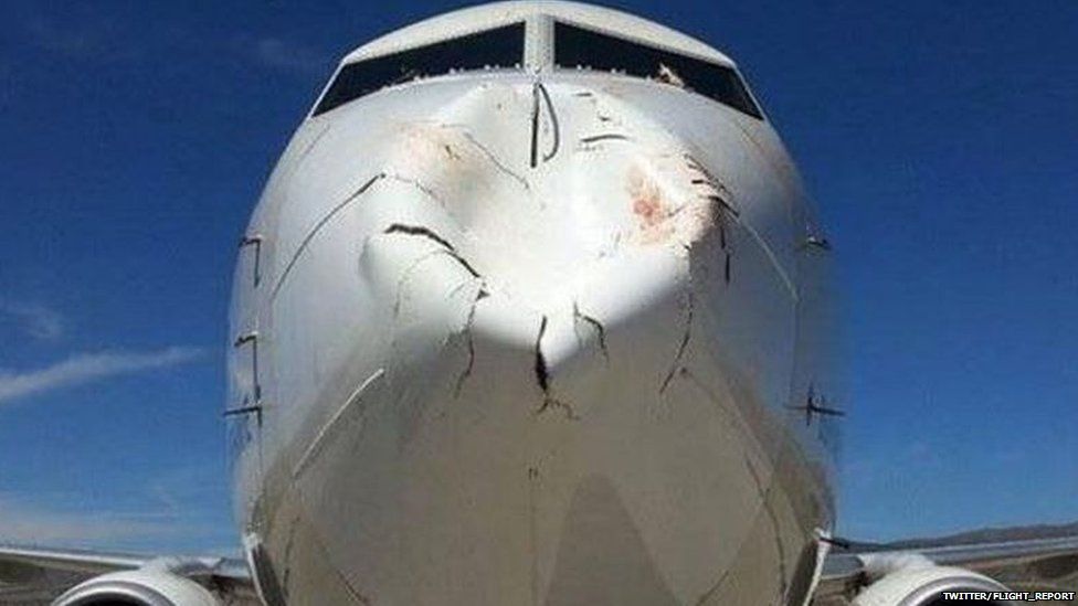 When a plane collides with a flock of birds it can be messy - BBC News