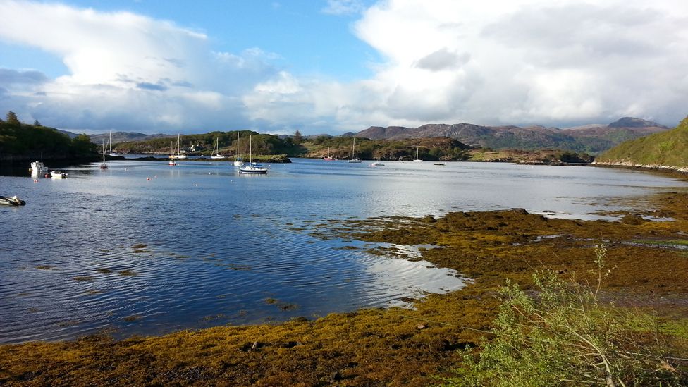 Your pictures of Scotland: 29 May - 6 June - BBC News