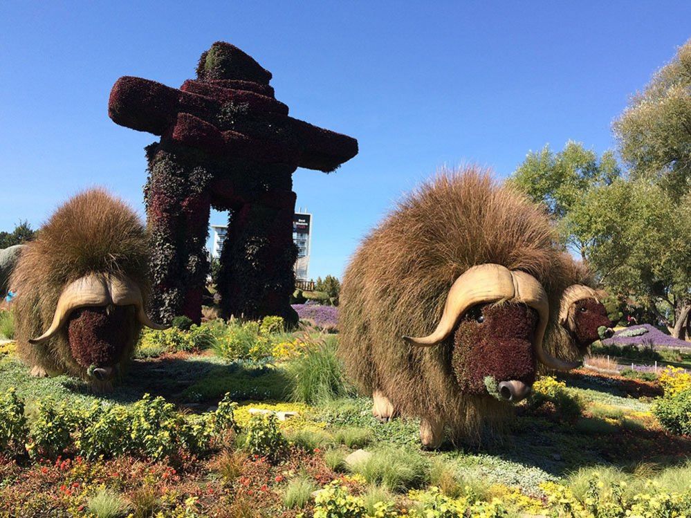 Your pictures on the theme of 'garden creatures' - BBC News