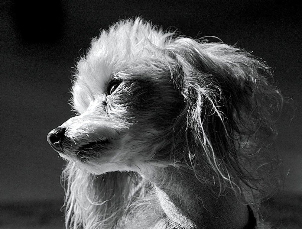 Your pictures on the theme of 'monochrome' - BBC News