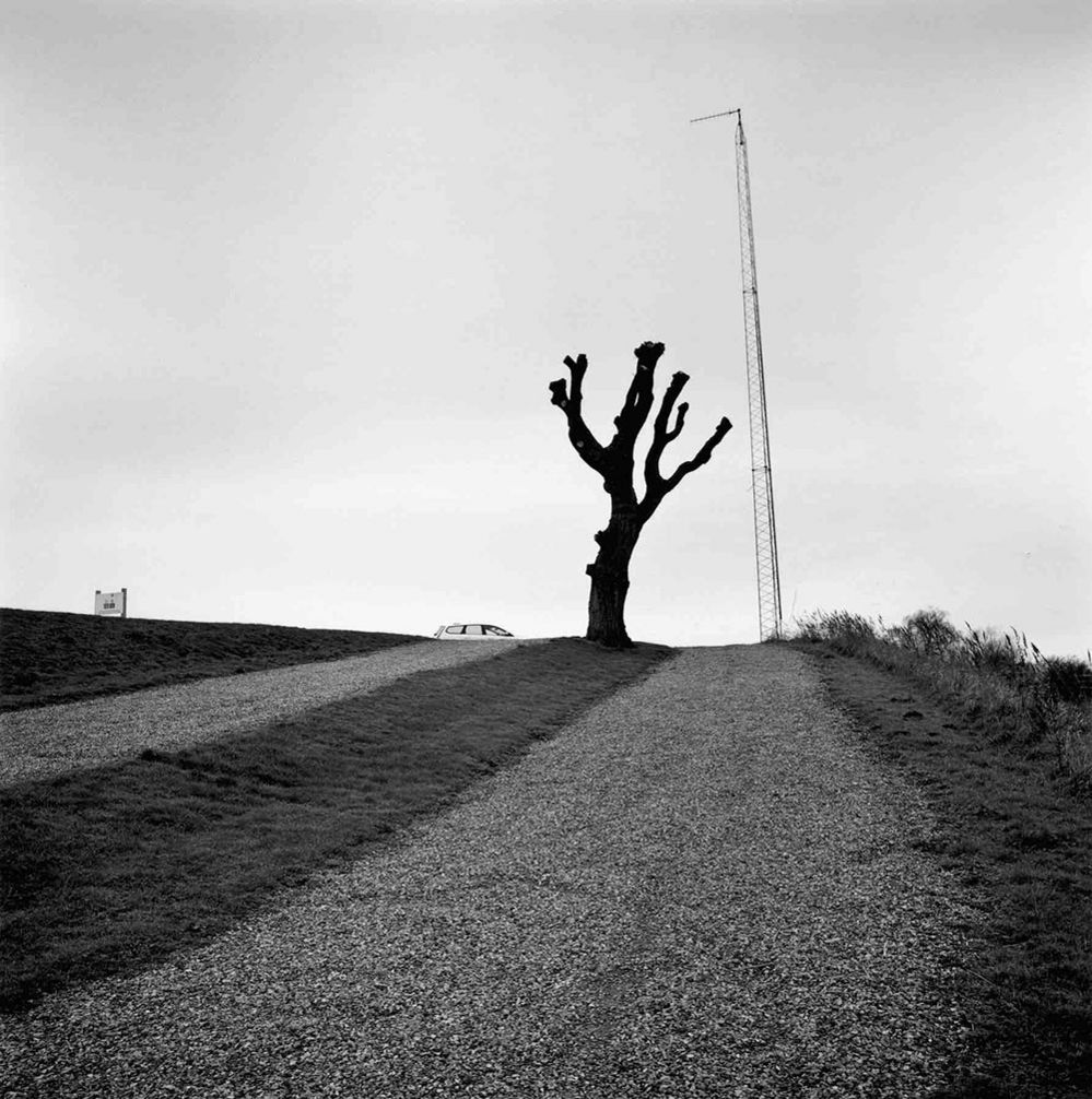In pictures: The beauty of the fens - BBC News