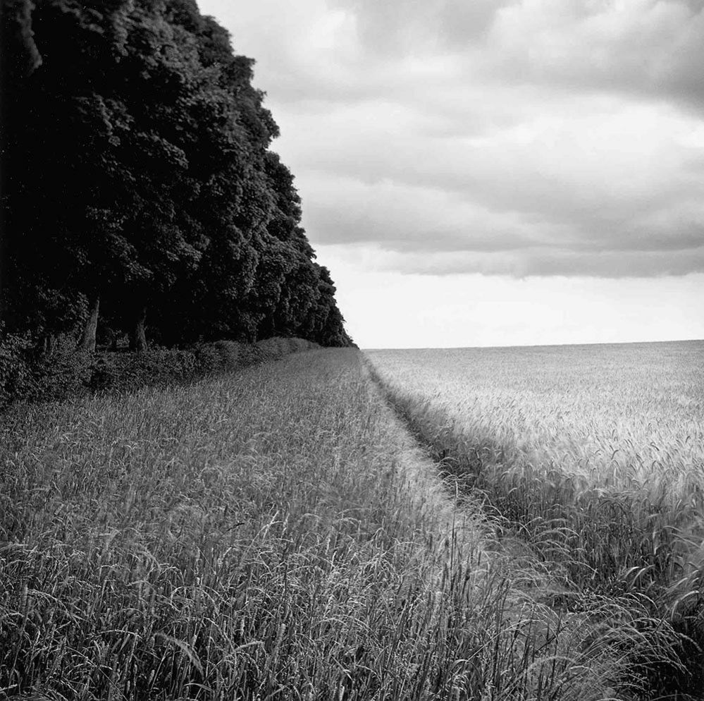 In pictures: The beauty of the fens - BBC News