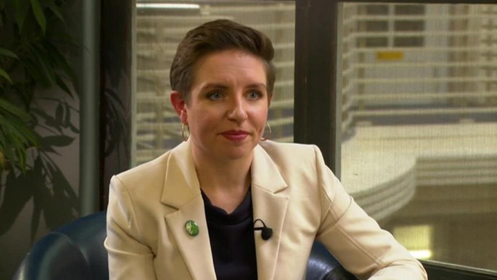 Green Party leader says Brighton Labour election claims misleading ...