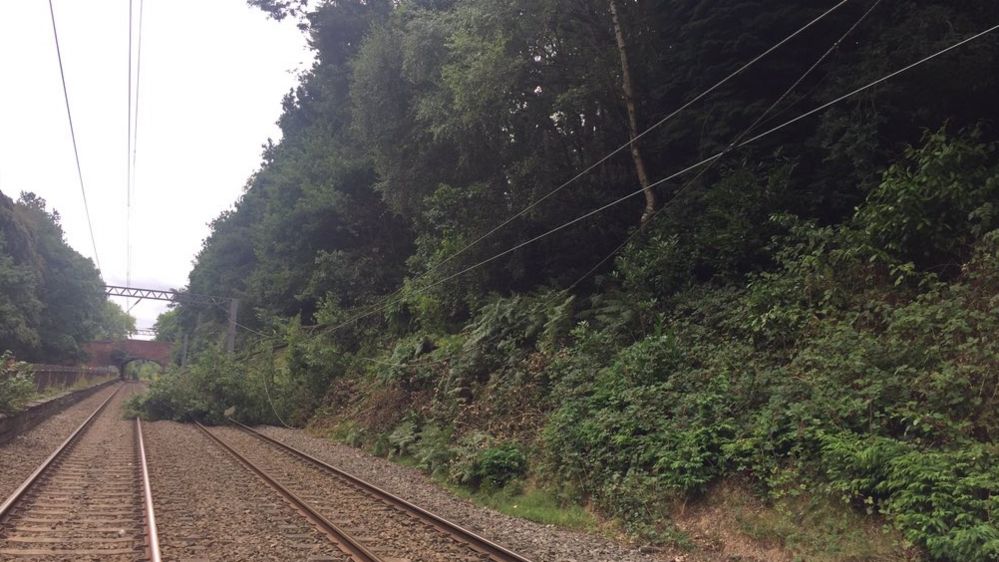 Tree fall and landslip disrupts trains for second day - BBC News