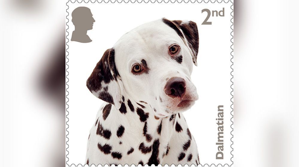 Royal Mail stamps show off UK's favourite dogs - BBC Newsround