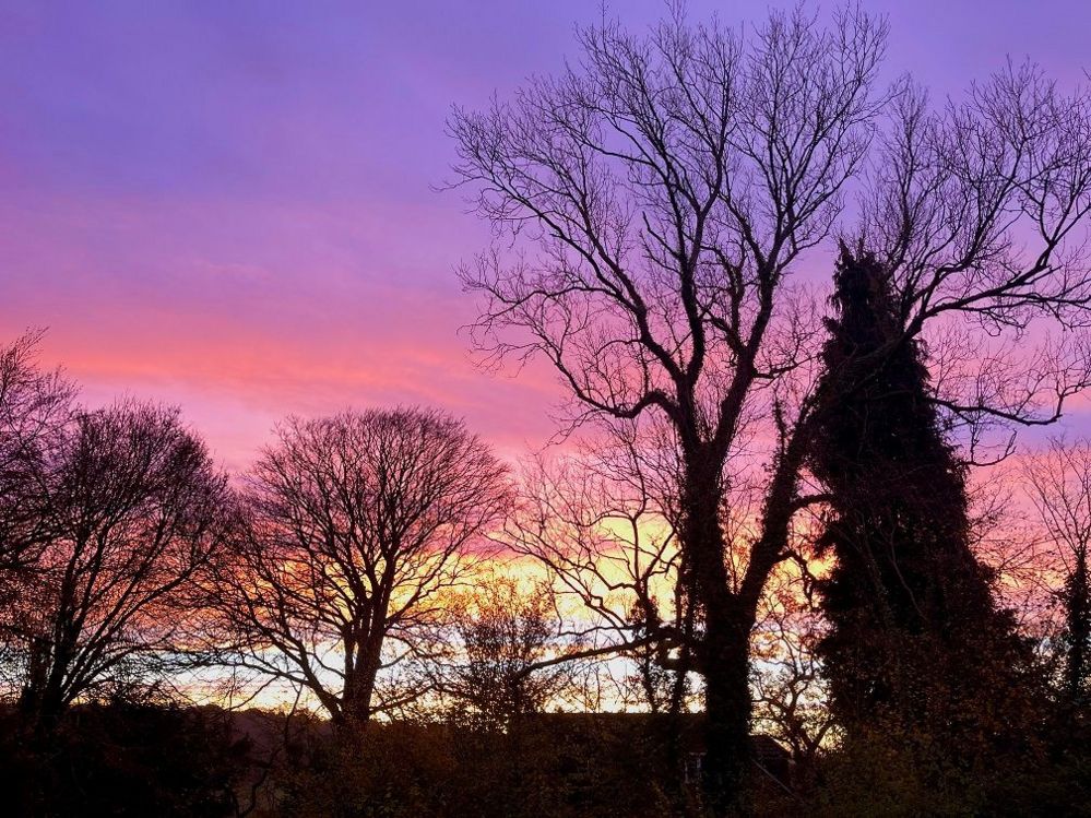 Beautiful pictures of Wednesday's sunrise in Hampshire and Dorset - BBC ...