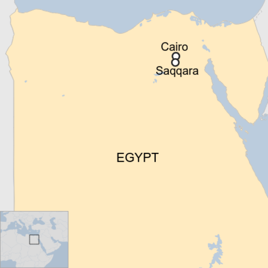 Mesir pamerkan mumi berbagai hewan, 'dari kucing, ular kobra, hingga ...