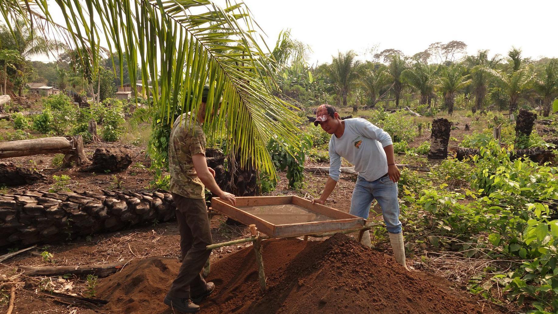 Terra Preta El Misterio Del Origen Del oro Negro Del Amazonas La