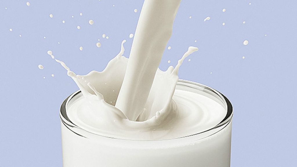 5 cosas que quizá no sabías de la leche - BBC Mundo