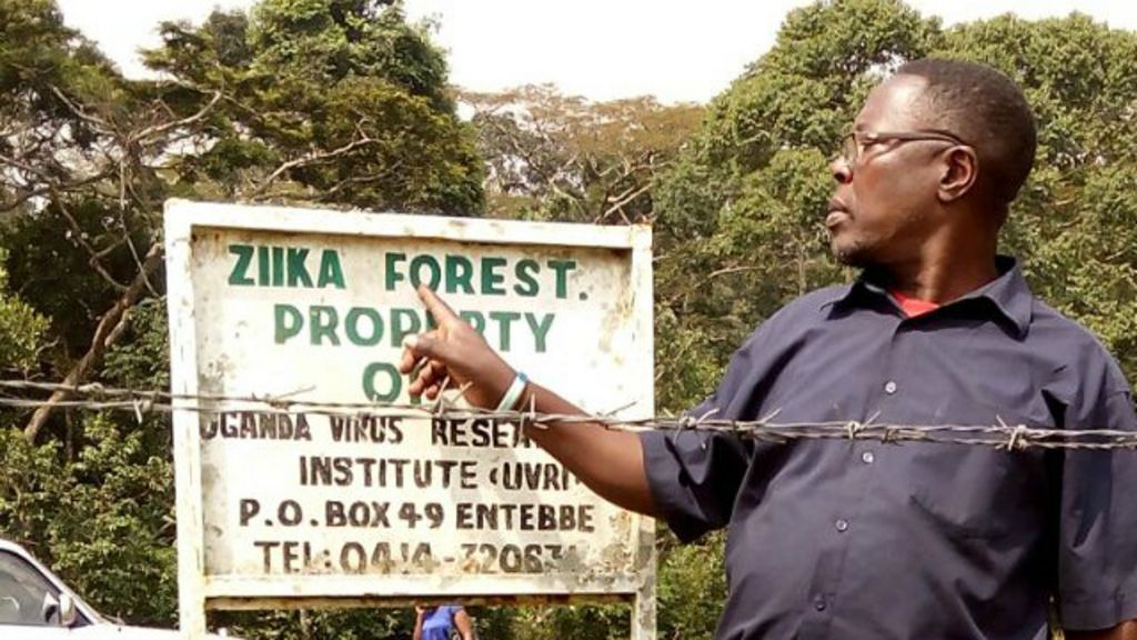 Zika: el bosque de Uganda de donde salió el virus que afecta a América ...