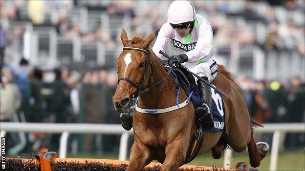 Annie Power: 2016 Cheltenham Champion Hurdle winner retired - BBC Sport
