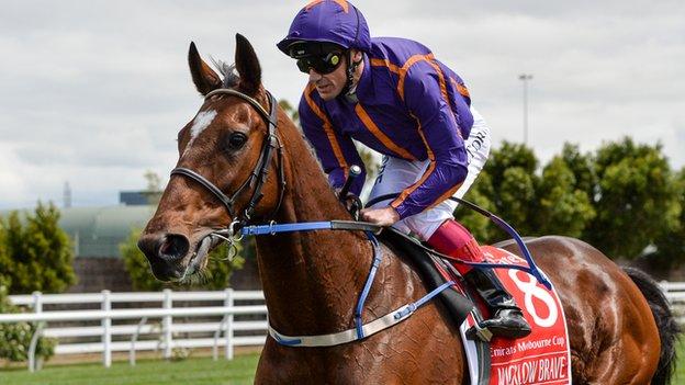 Wicklow Brave dies after American Grand National fall at Far Hills ...