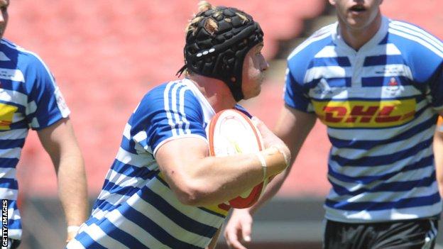 David Ribbans: Western Stormers lock joins Northampton Saints - BBC Sport