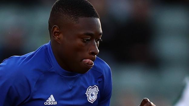 Ibrahim Meite: Crawley Town sign forward following release by Cardiff ...