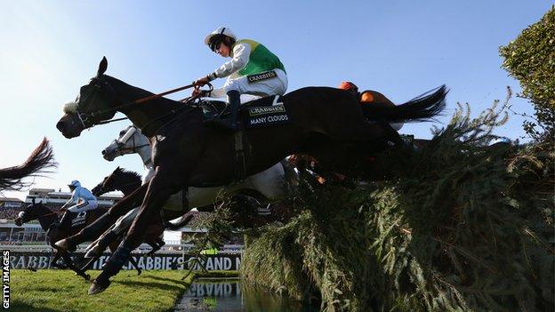 Grand National 2016: Many Clouds, Richard Johnson, Willie Mullins and ...