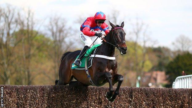 Sprinter Sacre: Jump racing's 'brilliant' horse is retired after tendon ...