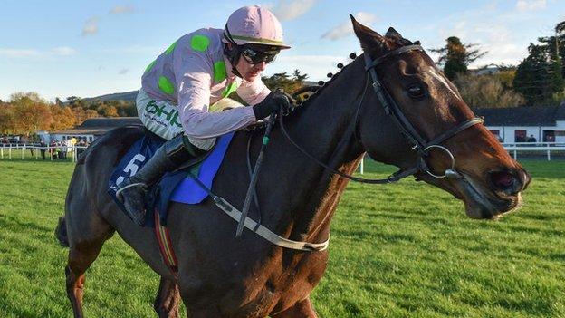 Willie Mullins: Douvan, Klassical Dream and Saldier to miss Cheltenham ...