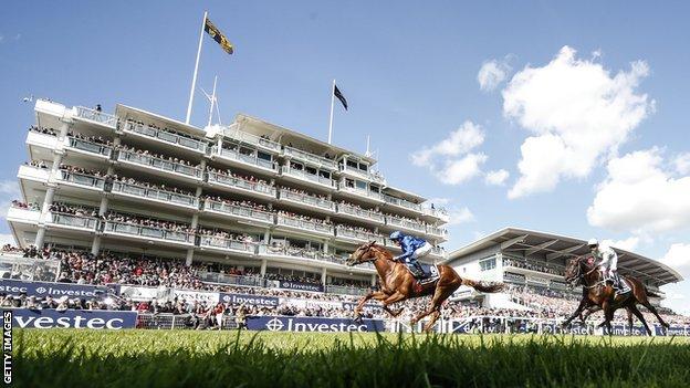 The Series: New team competition delayed until 2020 - BBC Sport