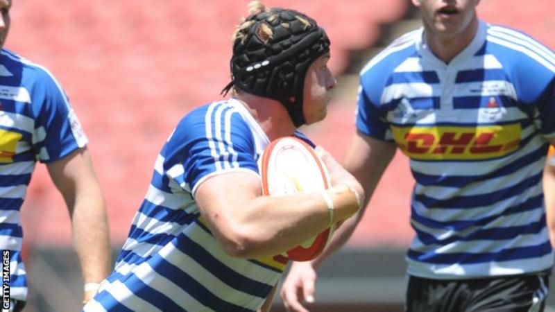 David Ribbans: Western Stormers lock joins Northampton Saints - BBC Sport