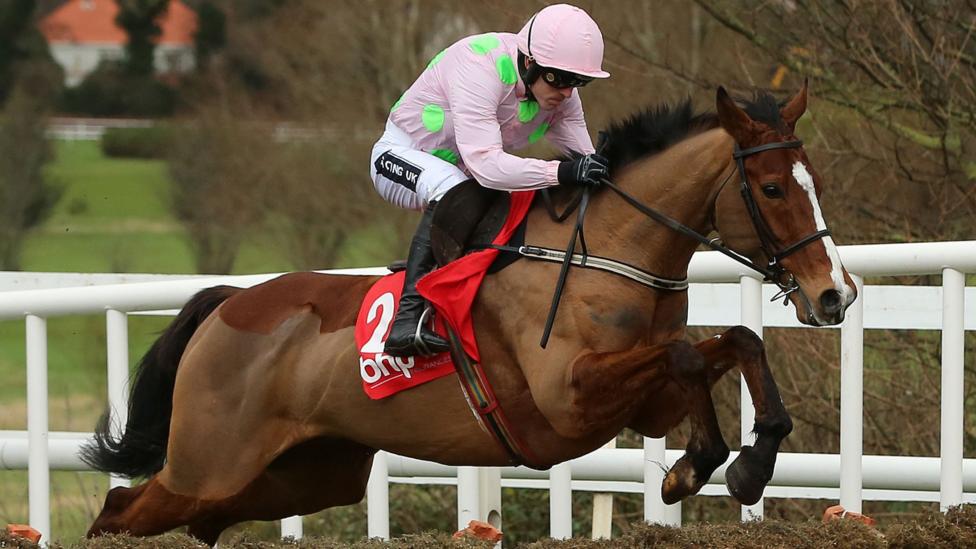 Cheltenham Festival: Faugheen to miss Champion Hurdle defence - BBC Sport