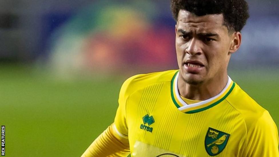 Tom Dickson-Peters: Gillingham sign Norwich City striker on loan - BBC ...