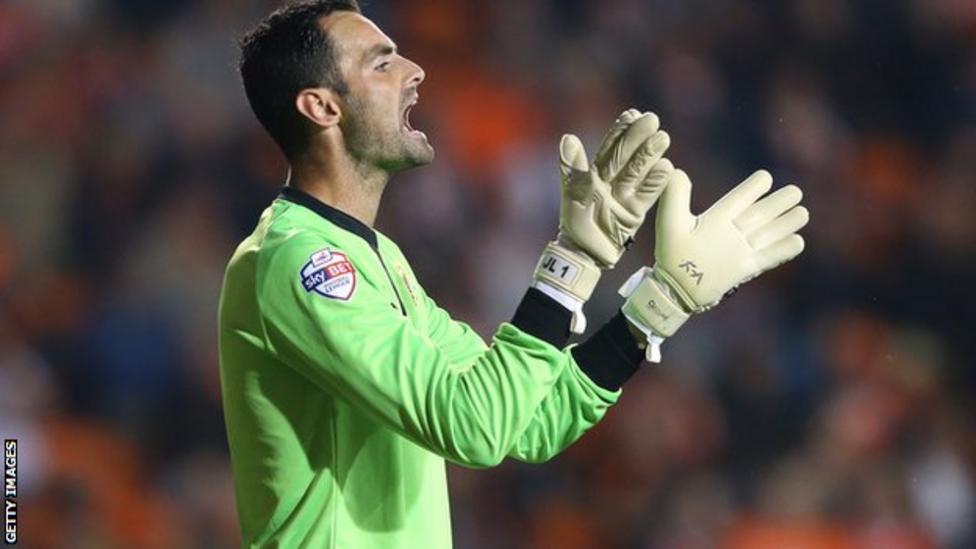 Fulham: Cardiff goalkeeper Joe Lewis arrives on loan - BBC Sport