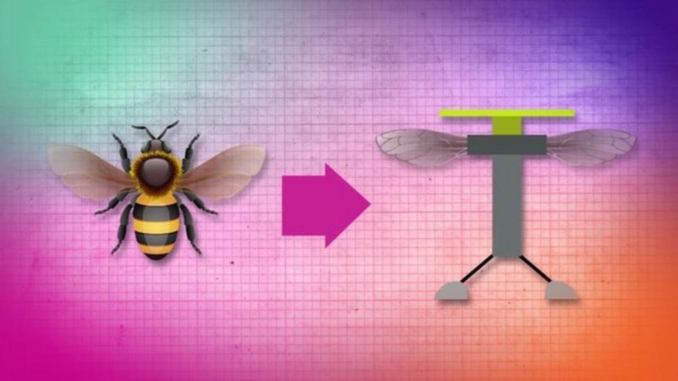 Meet RoboBee - the tiny flying robot insect - CBBC Newsround