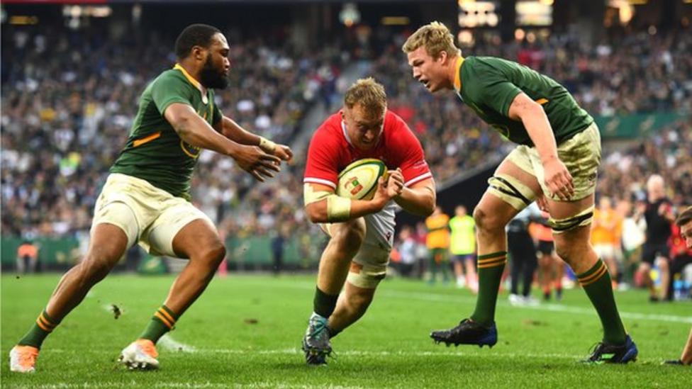 Wales to face reigning champions South Africa and England twice in ...