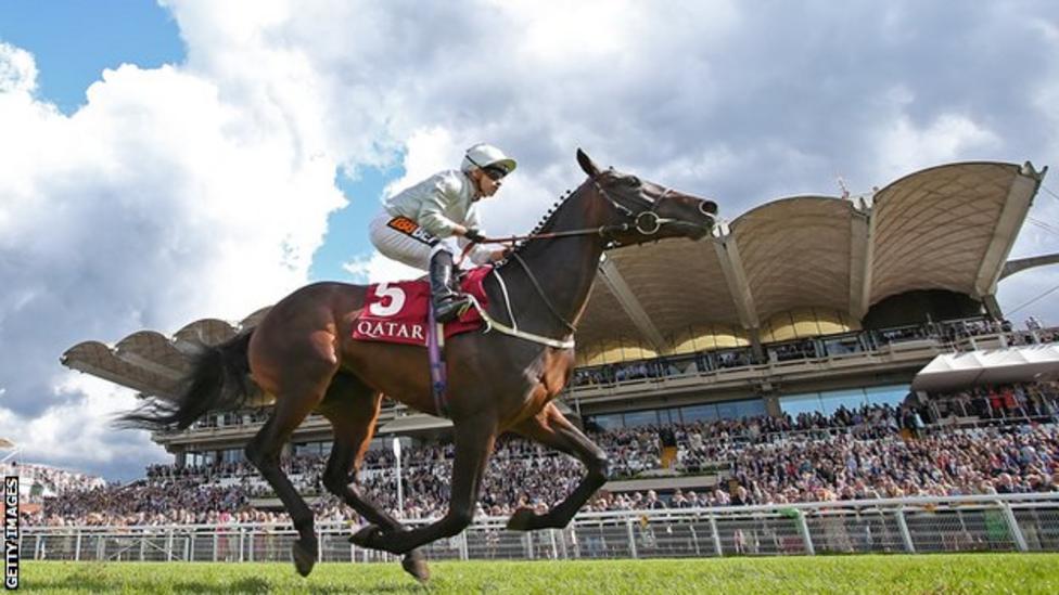 'I've always wanted to achieve more,' Mark Johnston on his prolific ...