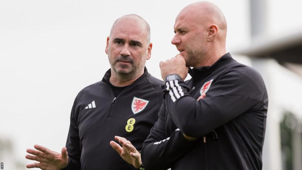 Dr Ian Mitchell leaves Wales role to join Newcastle United as head of ...