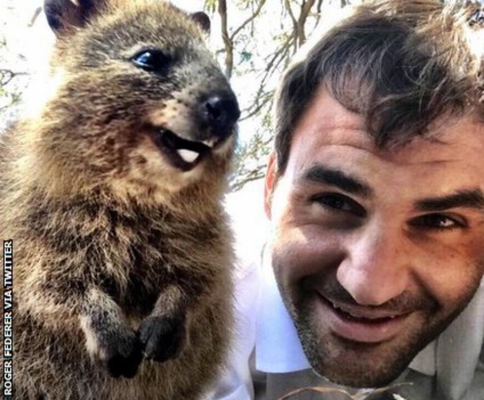 Australian Open 2018: Federer favourite? Sharapova to succeed Serena ...