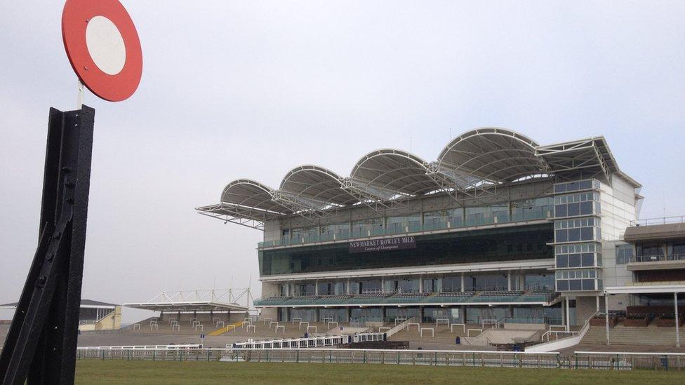 Newmarket: Photos of the gallops, racecourse and stud - BBC Sport