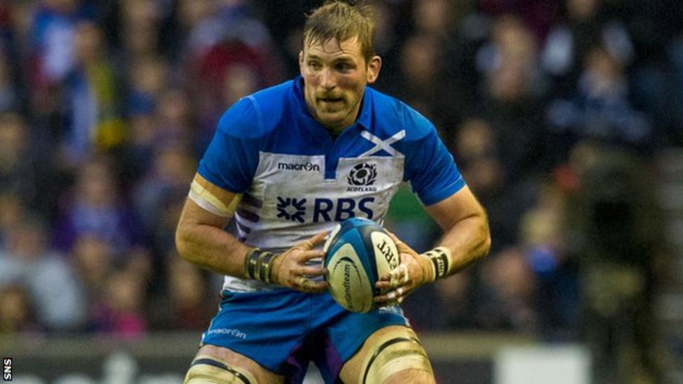 Rugby World Cup: John Barclay in Scotland's training squad - BBC Sport